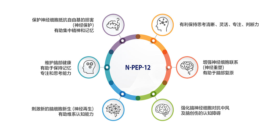 MemoProve © 忆活素 – HealthCare PharmaScience